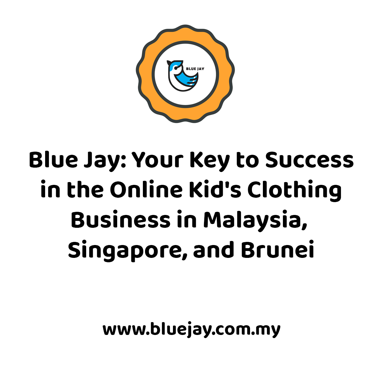 Blue Jay: Your Key to Success in the Online Kid's Clothing Business in ...